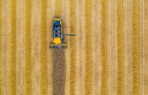 Artikelen: matif | Nieuwe Oogst.nl