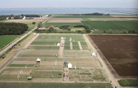 CZAV en CAV Wieringermeer fuseren onder de naam FarmPlus - Nieuwe Oogst