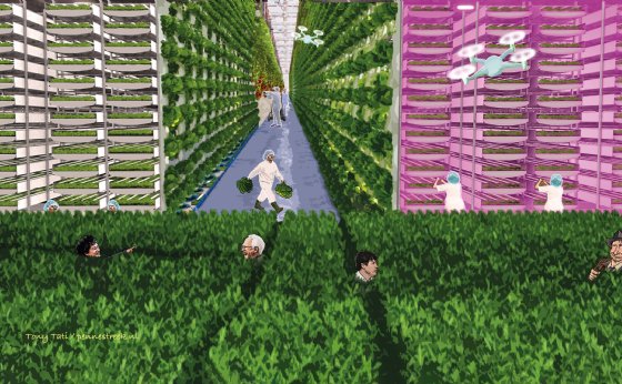 Conflict Lidl en Nederlandse ondernemers over geheime vertical farming ...