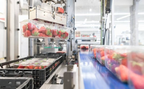 FruitMasters zet met masterplan in op efficiëntie en capaciteit ...