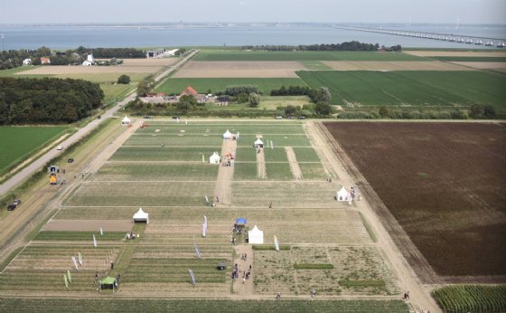 CZAV en CAV Wieringermeer fuseren onder de naam FarmPlus - Nieuwe Oogst