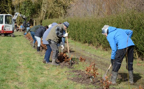 Start campagne 1001 hectare bomen en struiken - Nieuwe Oogst