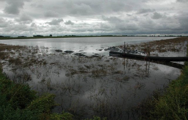 Chitwoodi-aaltjes bestrijden met water - Nieuwe Oogst