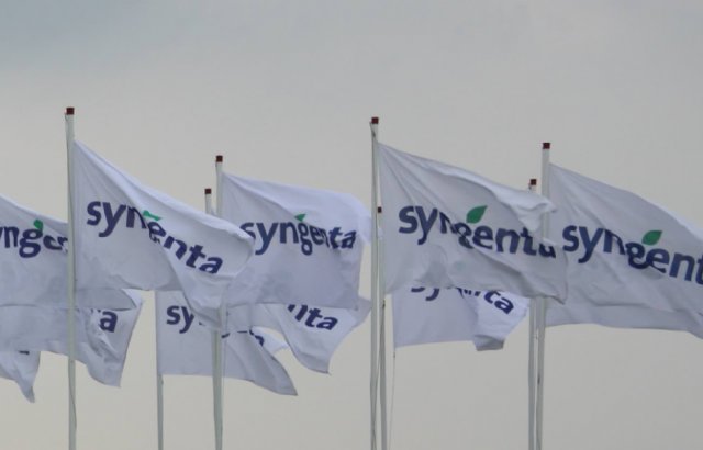 Syngenta voltooit overname Nidera Seeds - Nieuwe Oogst