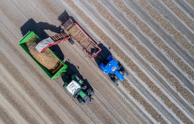 Verschillen in oogst nog nooit zo groot - Nieuwe Oogst
