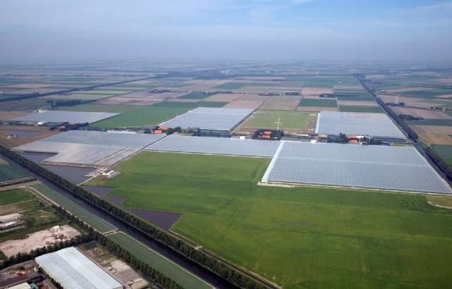 Boeren Hollands Kroon bundelen krachten met Microsoft - Nieuwe Oogst