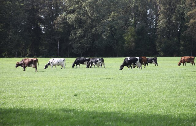 Provincies vrezen meer onzekerheid na kabinetsval - Nieuwe Oogst