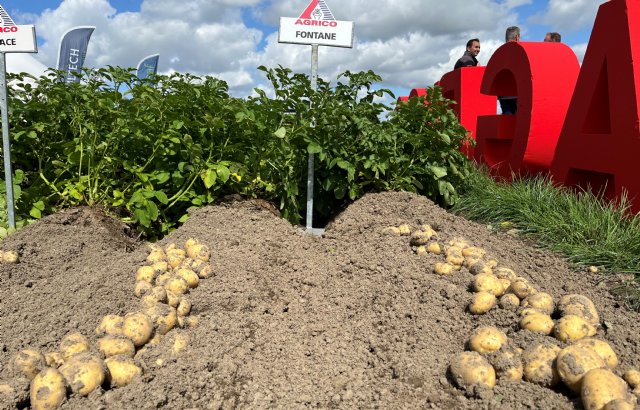 Granen en aardappelen stijgen in prijs - Nieuwe Oogst