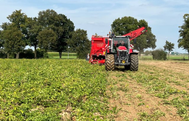 EU heeft even geen behoefte aan Nederlandse aardappel - Nieuwe Oogst