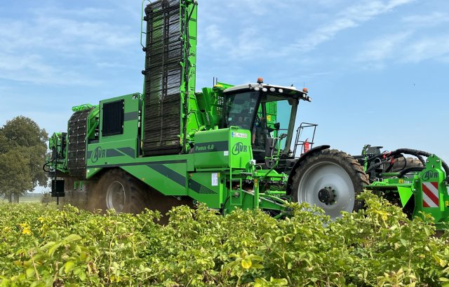 Duits aardappelareaal groeit 5 procent - Nieuwe Oogst