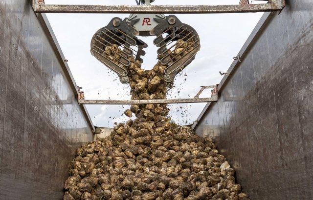 Suikergehalte van bieten uit zuidwesten dik boven 18 procent - Nieuwe Oogst