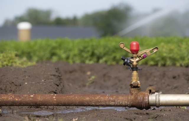 Oogstprognose 2026: droogte neemt toe, minder tarwe en aardappelen ...