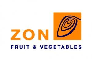 ZON volgt veiltijden Belgische veilingen - Nieuwe Oogst