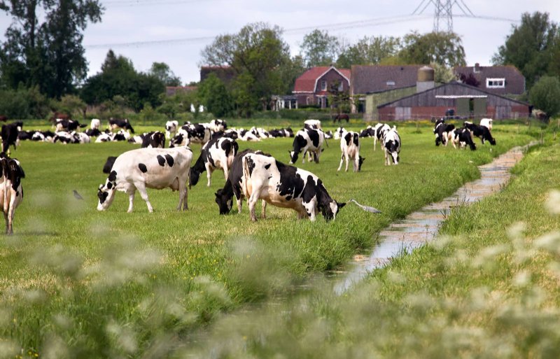 'Actieprogramma schiet doel voorbij' - Nieuwe Oogst