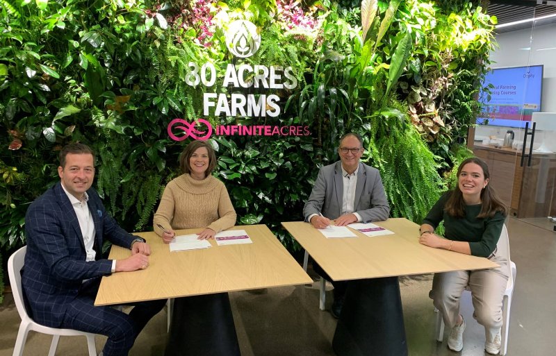 Delphy lanceert Team Vertical Farming met onderzoekscellen - Nieuwe Oogst