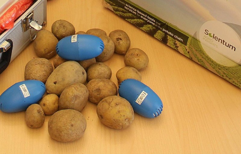 HZPC stopt met technologiedochter Solentum - Nieuwe Oogst