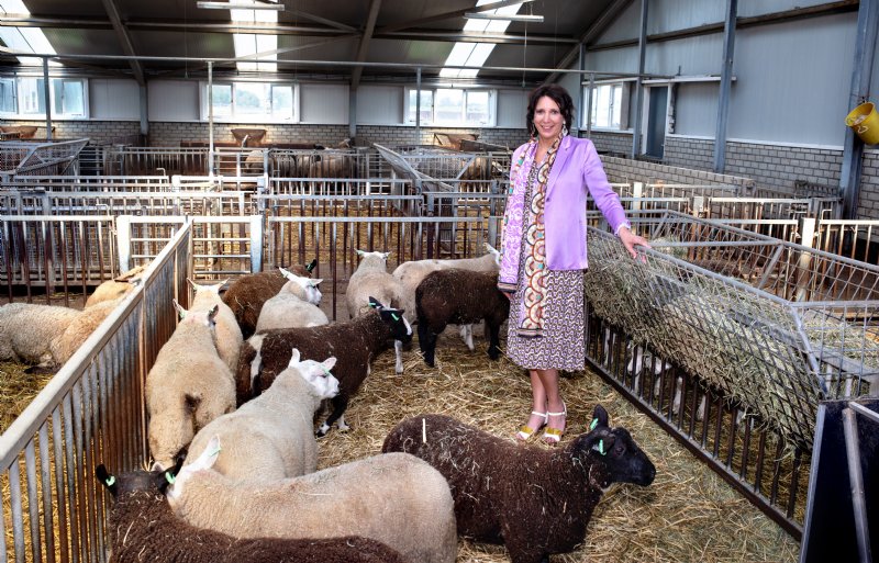 Oud-VVD-Kamerlid Helma Lodders wordt lijstduwer voor BBB - Nieuwe Oogst