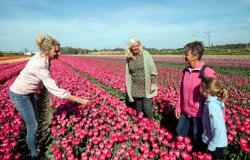 Vrouwelijke benadering geeft bollen en knollen vleugels - Nieuwe Oogst