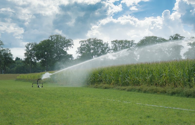 Waterschappen stellen onttrekkingsverbod in voor oppervlaktewater ...