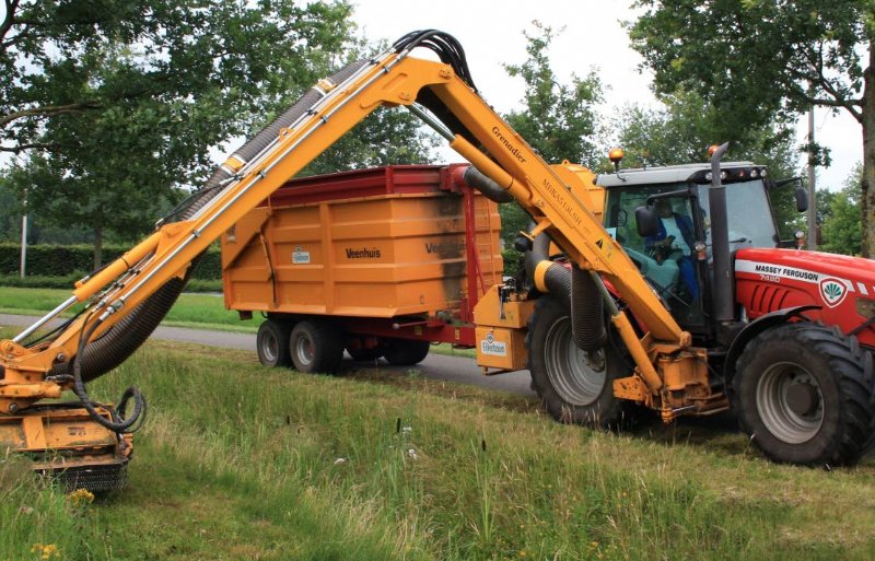 Bermgras is interessante grondstof voor papier en karton - Nieuwe Oogst