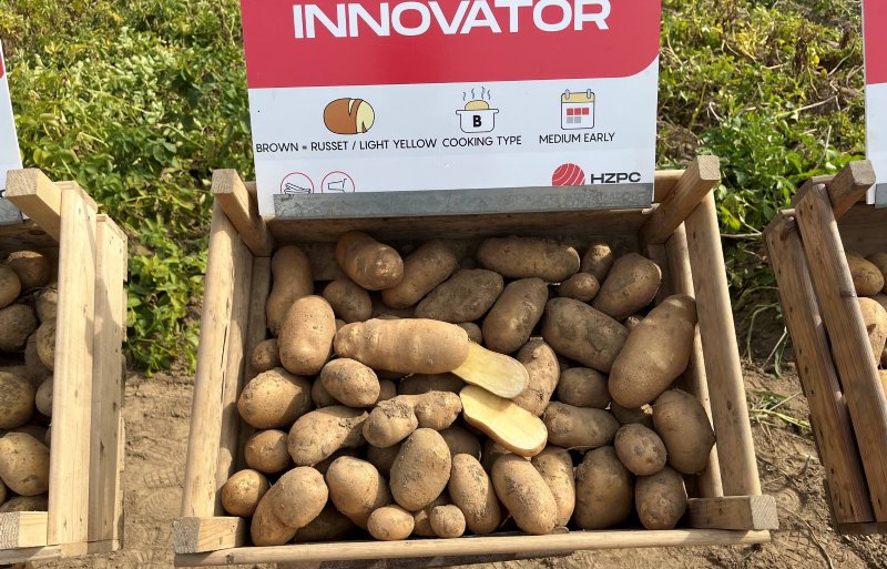 Innovator trekt aardappelprijs naar 26 euro - Nieuwe Oogst