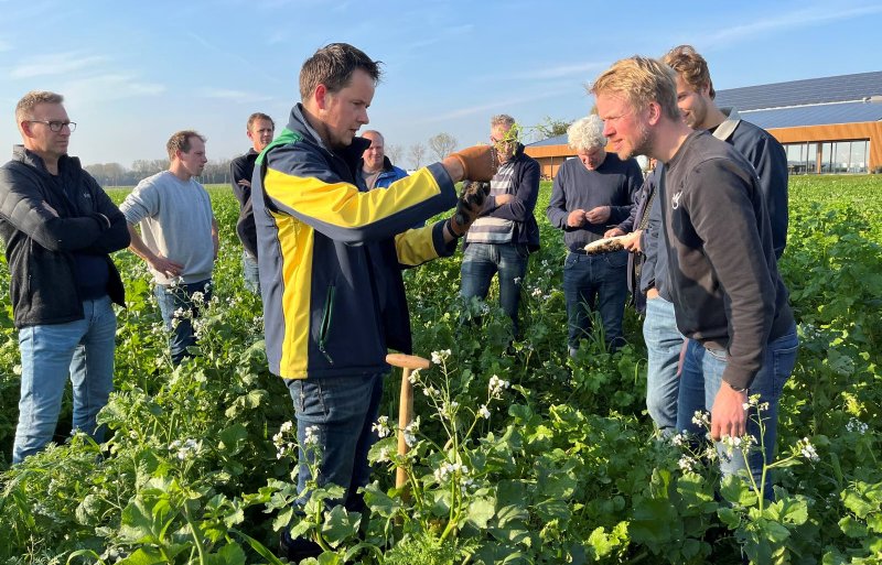 Mengsel niet beter dan beste enkelvoudige groenbemester - Nieuwe Oogst