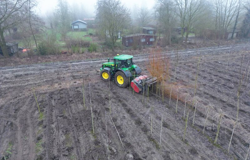 'Waarom kon niet gewacht worden met rooien van laanbomen?' - Nieuwe Oogst