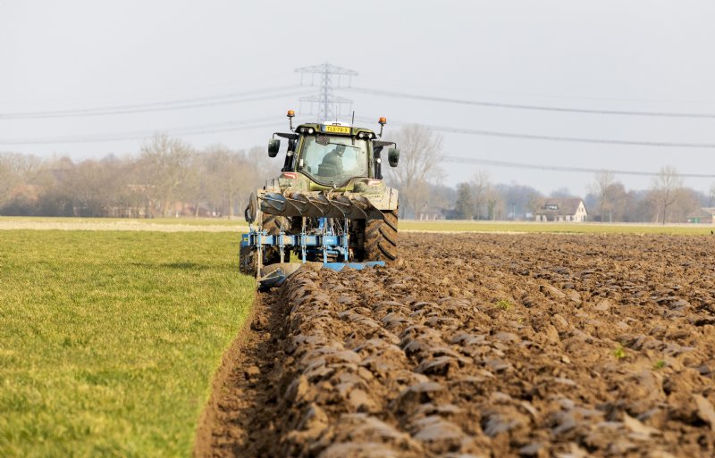 Areaal grasland krimpt met 15.400 hectare in vier jaar - Nieuwe Oogst