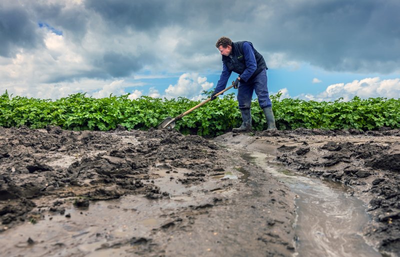 Flevolandse akkerbouwer graaft greppels na een muur van regen - Nieuwe ...