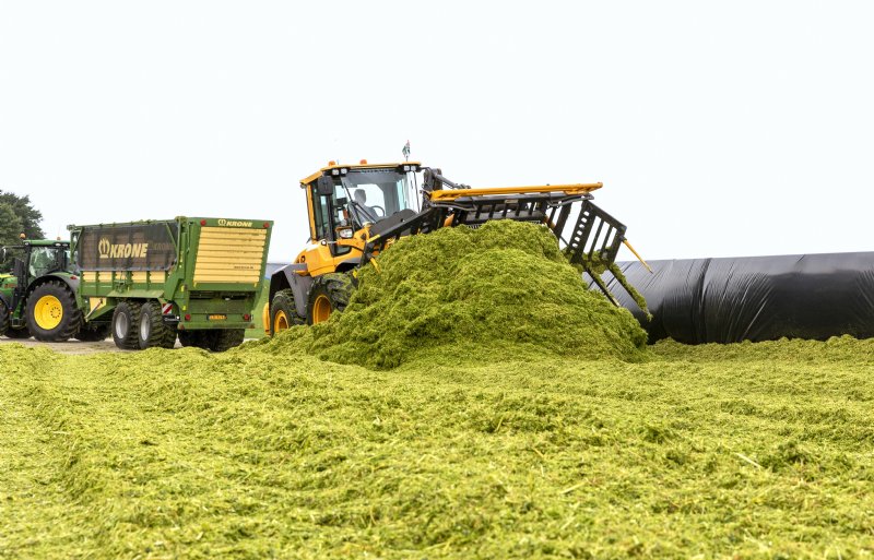 Vroege oogst erwten en gerst zorgt voor kwart meer opbrengst - Nieuwe Oogst