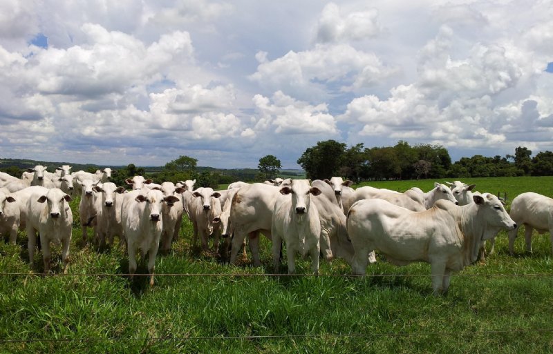 Goddessanna archivebate videos if you are individual