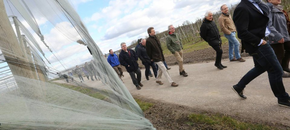 Proeftuin Randwijk uithangbord fruitteelt - Nieuwe Oogst