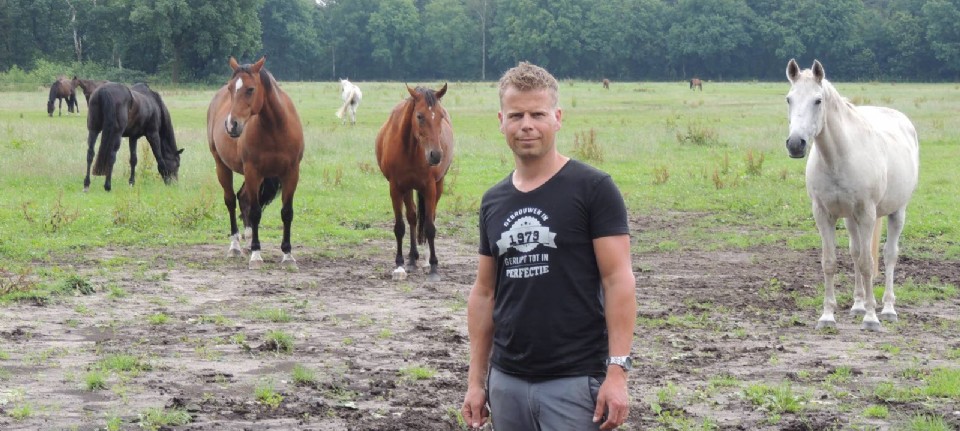 Paarden rusten in agrarische natuur - Nieuwe Oogst