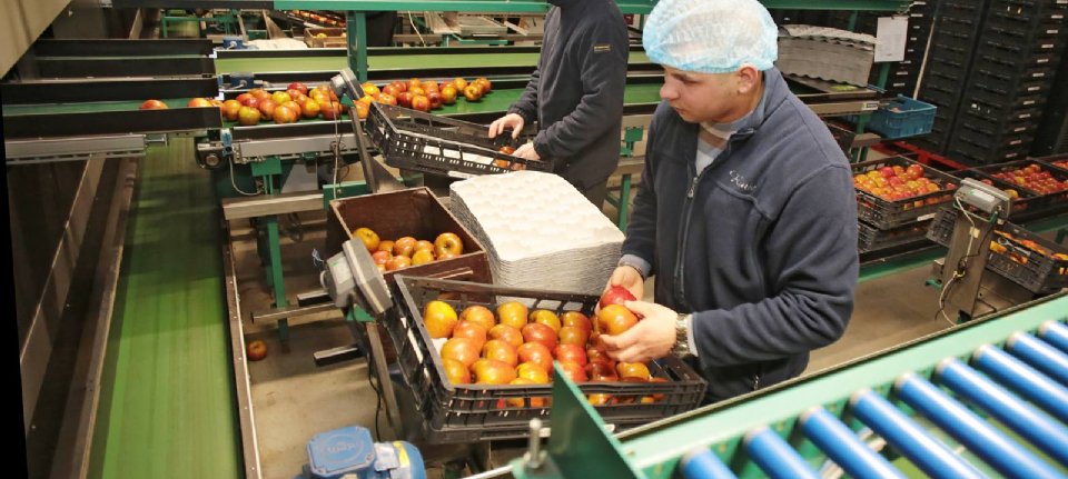 Optiflux versimpelt dynamisch bewaren in fruitteelt - Nieuwe Oogst