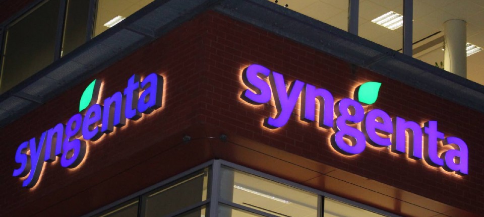 Syngenta koopt Chinese Nidera Seeds - Nieuwe Oogst