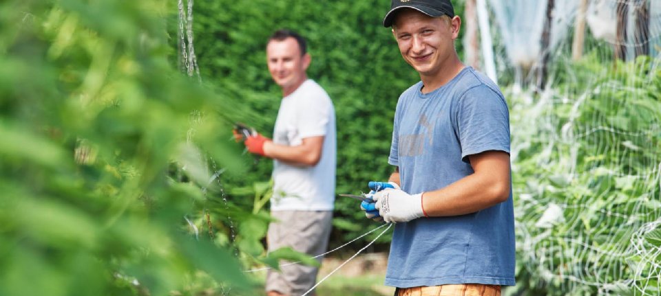 Goede medewerker kan kiezen uit meerdere werkgevers - Nieuwe Oogst