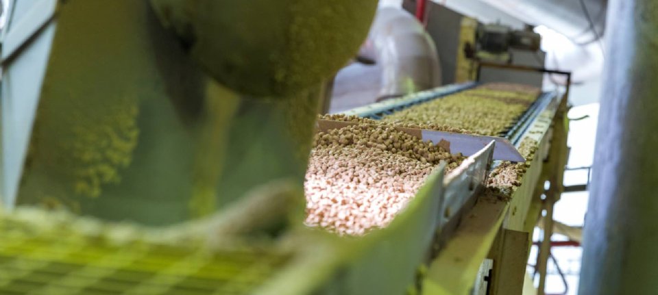 Producent veevoeringrediënten Aliphos failliet - Nieuwe Oogst