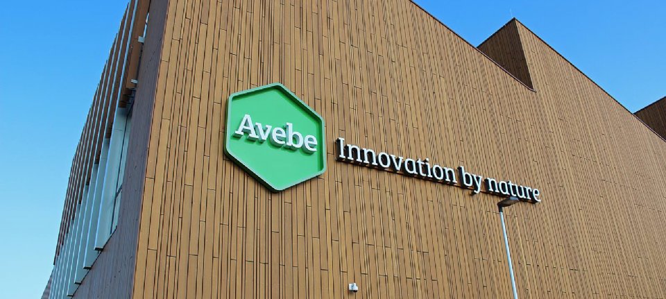 Avebe bundelt innovatie in Groningen - Nieuwe Oogst