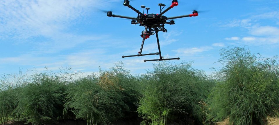 Plannen voor AgriDrone-centrum in Noord-Holland - Nieuwe Oogst