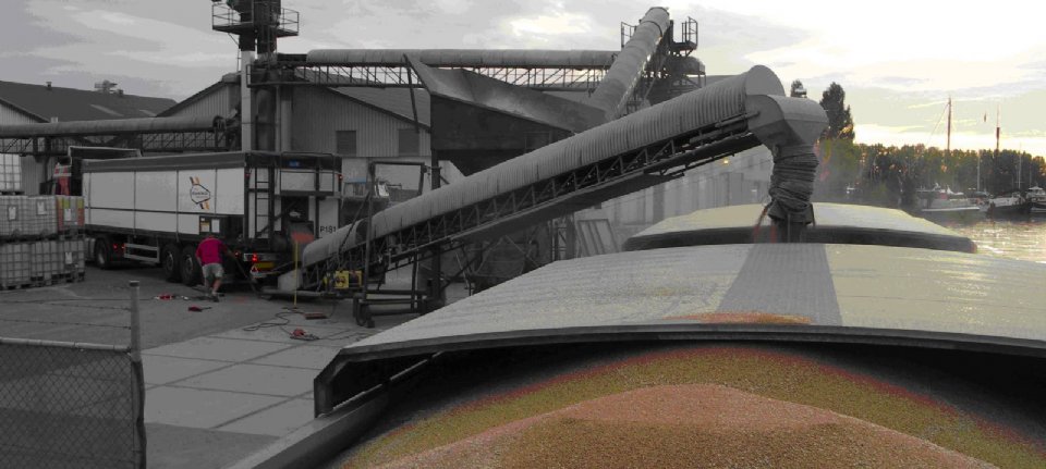 CZAV keert 1,5 miljoen euro uit aan telers - Nieuwe Oogst