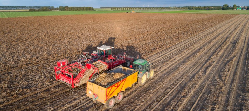 Nederland: nog zestig keer oogsten - Nieuwe Oogst