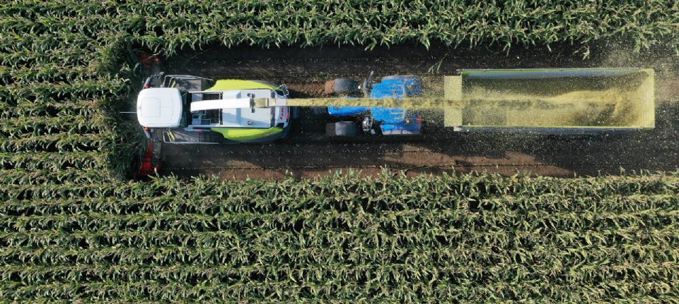 ZLTO en LLTB vinden weinige opvolgers 'zorgelijk' - Nieuwe Oogst