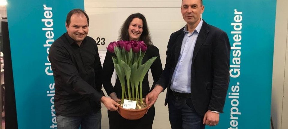 Tulp Roeska wint Tulpenprijs tijdens vaktentoonstelling - Nieuwe Oogst