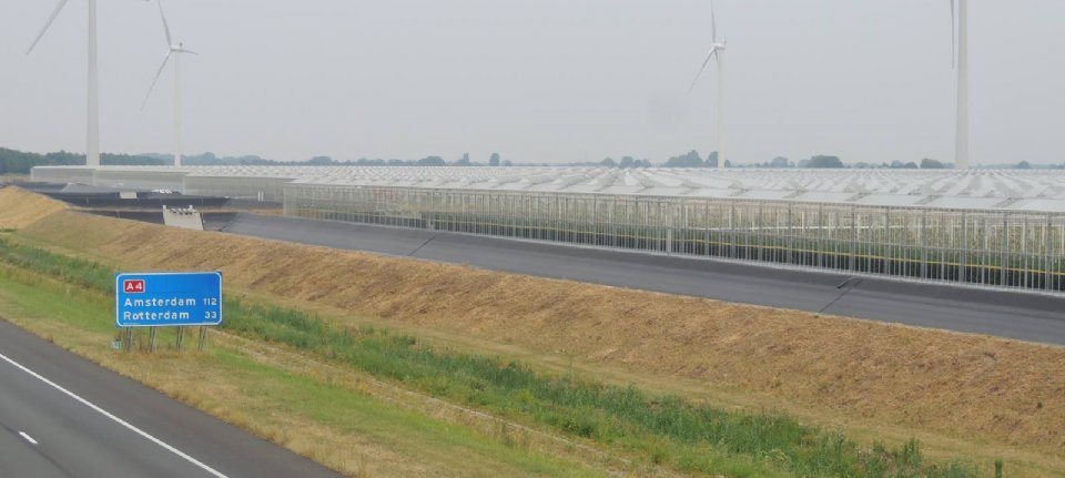 ZLTO: 'Doelstellingen TOM zijn grotendeels gerealiseerd' - Nieuwe Oogst