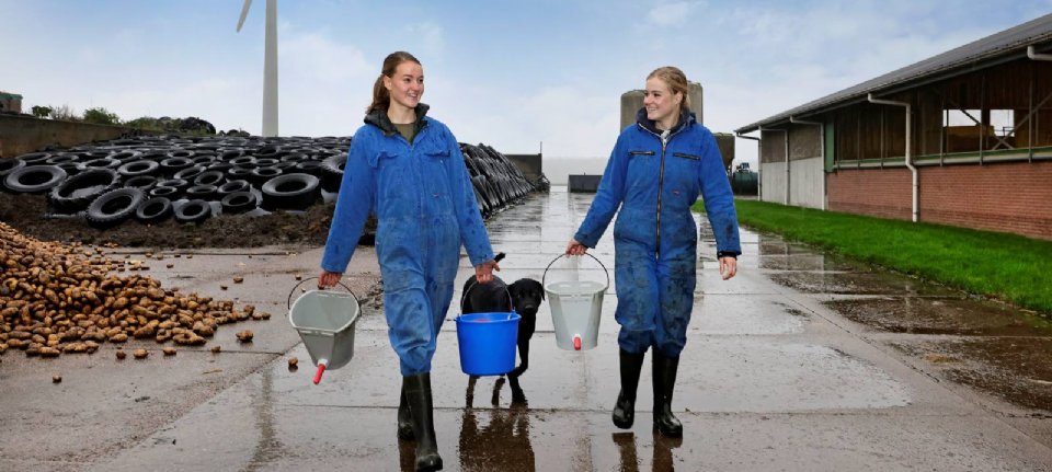 Boerin is vaker baas op de boerderij - Nieuwe Oogst