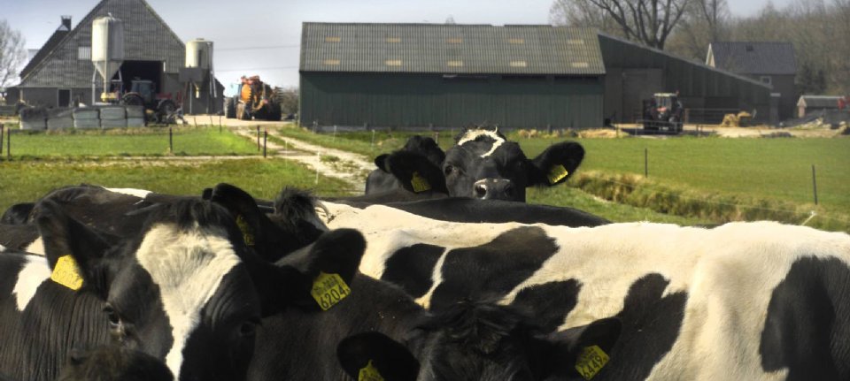 Schouten ziet kansen Kringloopwijzer bij mest, stikstof en klimaat ...