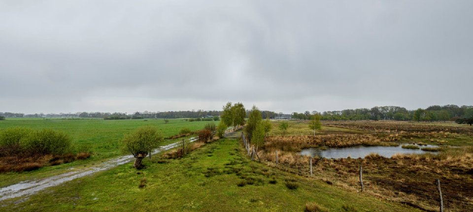 Overijssel hervat gebiedsproces Wierdense Veld - Nieuwe Oogst