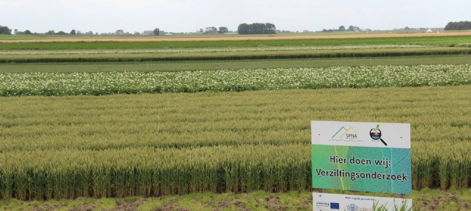 Noord-Nederlandse boeren gaan verzilting te lijf met Zoet op Zout ...