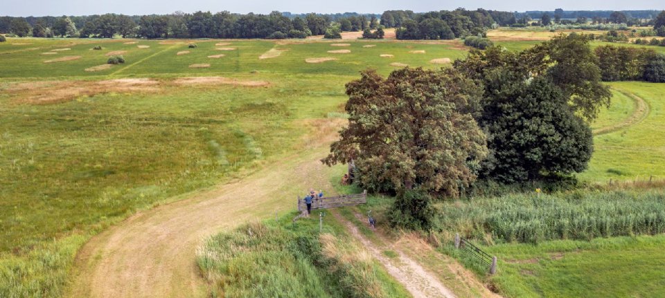Landbouwgrond omvormen naar natuurgrond kan interessant zijn - Nieuwe Oogst
