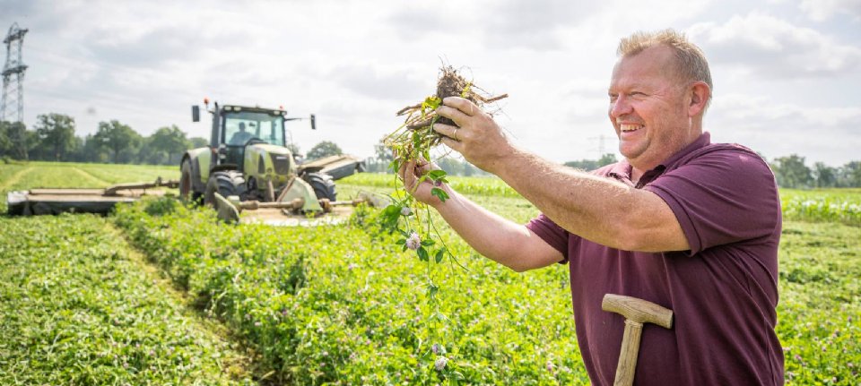 Met vanggewas extra oogst en betere bodem - Nieuwe Oogst